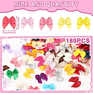 JUNEBRUSHS Multicolor Bows, 180Pcs Mini Satin Ribbon Bows Ribbon Small Tiny Bows for DIY Craft Sewing Scrapbooking