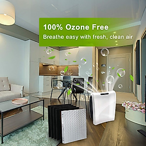 Flintar H13 True HEPA Replacement Filter Combo Pack, Compatible with Vornado Air Purifier, (1) H13 True HEPA Filter MD1-0022 + (4) Activated Carbon Pre-Filter MD1-0023, 1-Year Filter Set