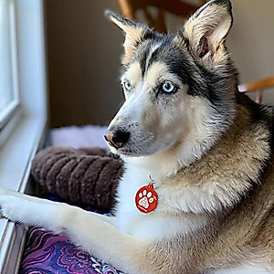 MYLUCKYTAG NFC & QR Code Smart Pet ID Tag Personalized Dog Cat Tag, Online Pet Profile, Pet Location Alert Email, Digital Pet Tag, Quiet Pet Tag, Durable Pet ID, Dog Collar Tag