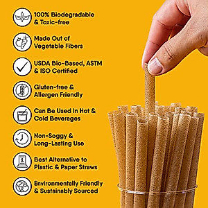 100% Biodegradable Eco-Friendly Wrapped Straws, 100ct – 8.25"H, Made of Vegetable Fibers