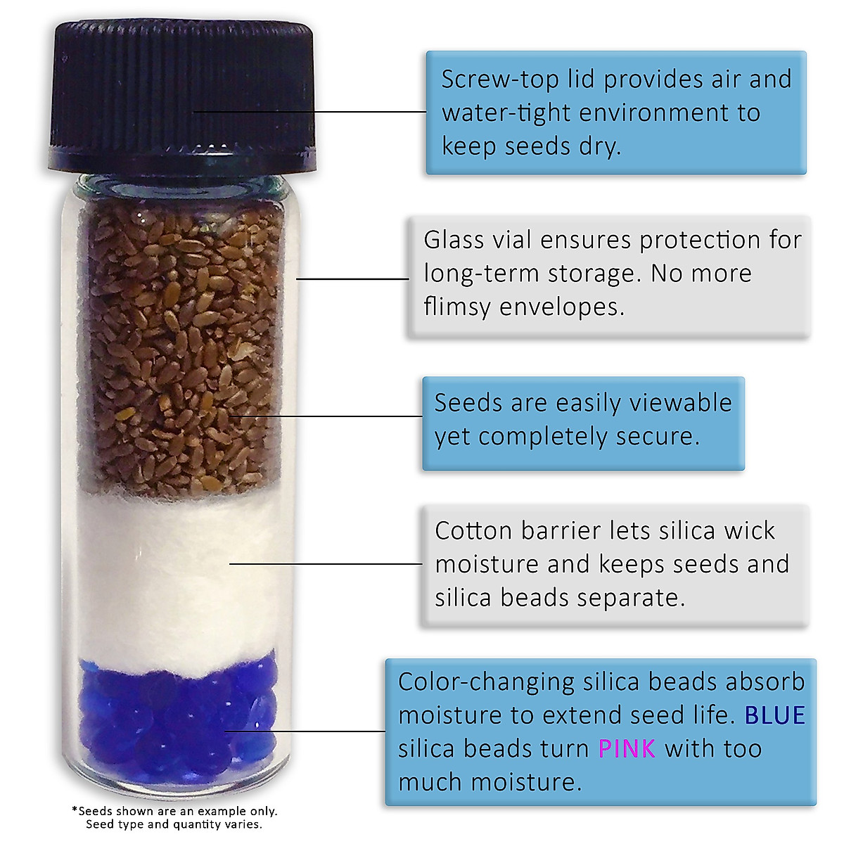 Frozen Seed Capsules - Rose Hip (Rosa canina) - Grow Now or Store for Future Planting - Capsule of 10 Seeds