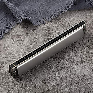 WAAZVXS Harmonica Key C 24 Holes Harp Phosphor Bronze Reeds ABS Comb Musical Instruments Professional (Color : 2430 Key C)