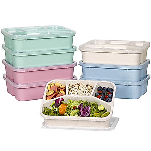 shopwithgreen 8 Pack Bento Lunch Box for Kids, 4 Compartment Meal Prep Lunch Containers for Adults, Reusable Microwave and Dishwasher Safe Food Storage Container for School Work Travel Camp, BPA Fre