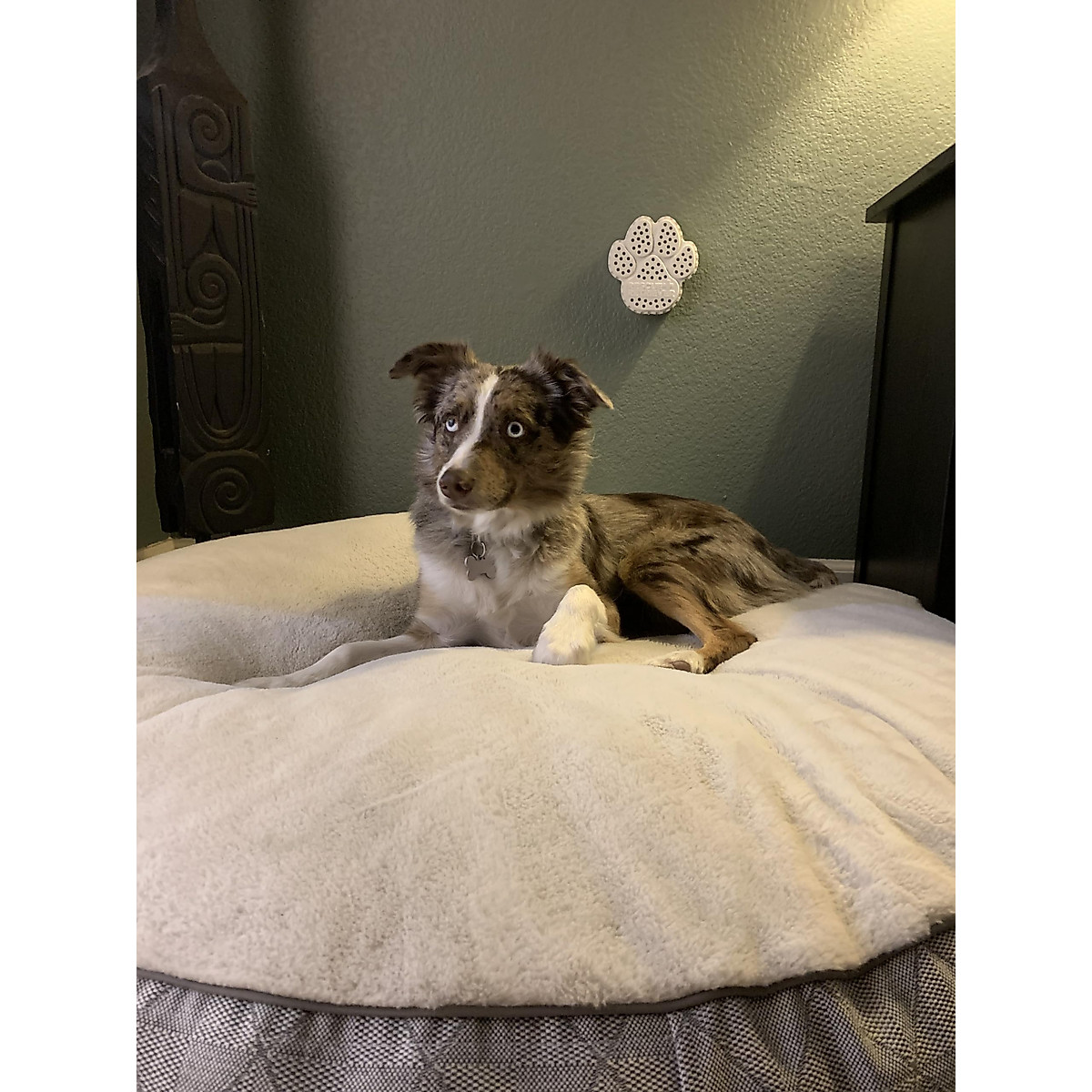 Rescue Retriever- Smoke Detector for pet Rescue in a Smoke or fire Emergency.