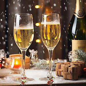 FunIdea 12 Piece Holiday Themed Christmas Wine Glass Charms, Wine Tasting Party Decoration Supplies Gift Box Set (Golden)