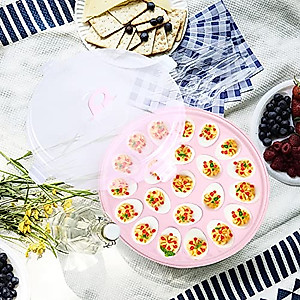 HANSGO Deviled Egg Platter, Pink Deviled Egg Containers with Lid Plastic Deviled Egg Keeper Platter Carrier for Holiday Season Table Party, 22 Egg Slots