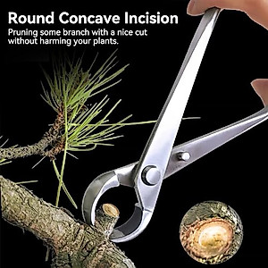 Bonsai Tools Concave Cutter Knob Cutter 180 mm Bonsai Cutters Branch Cutter Bonsai Scissor Tree Clippers Bonsai Pruning Bonsai Trimmer Gardening Tools