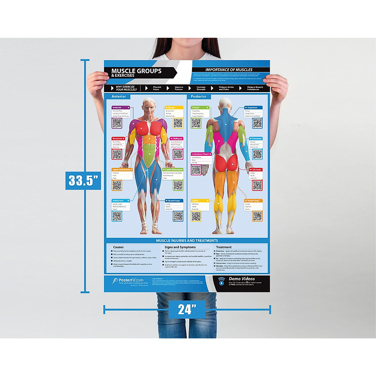 Gym Workout Posters - Set of 7 - Laminated - EXTRA LARGE 33" X 23.5" - Exercise Posters - Gym or Home Workout Charts - Includes Video Training Support