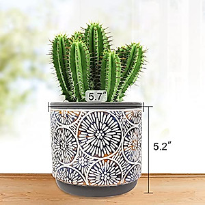 Vivimee 2 Pack Ceramic Plant Pots, 5 Inch Flower Pot Set, Planter Set with Drainage Hole for Indoor Plants, Cactus, Succulent, Snake Plants, Bamboo, Clay Pottery Garden Pots for Outdoor Plants(Gray)