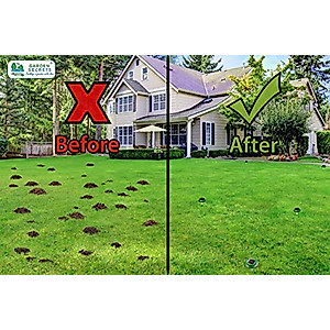 GARDEN SECRETS (2 Pack) Professional Solar Mole & Snake Repellent. Gopher Vole Snake Scorpion etc Deterrent. Keep Underground Creatures Away from Your Property Within 2-4 Weeks. Year Full Warranty!