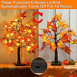 [ Timer ] 2 Pack 22 Inch Prelit Lighted Maple Tree Fall Halloween Decor Fall Tree 48 LEDs Battery Operated 12 Exclusive Patent Pumpkins 12 Acorns Orange Red Maple Tree Thanksgiving Decor Indoor Home