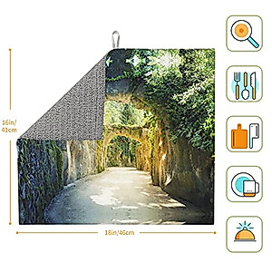 Gasse Printed Drying Mat For Kitchen Ultra Absorbent Microfiber Dishes Drainer Mats Non-Slip Silicone Quick Dry Pad - 18 X 16inch