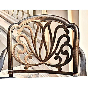 OKIDA 2 Piece Patio Bistro Chairs Outdoor Dining Chairs Set Cast Aluminum Chairs for Home Patio Garden Deck, Antique Bronze Finish