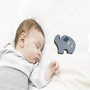 HanMiaMia Wooden Elephant Toys 12 PCS Stacking Toddler Toy Montessori Balance Activities Game for Baby