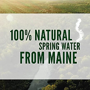 Poland Spring 100% Natural Premium Spring Water - 8 Fl Oz Bottles | Pack of 16