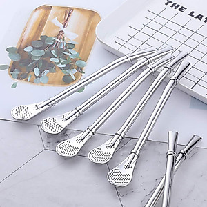 3in1 Metal Straw Spoons for Drinks, Baikai 18/8 Stainless Steel Reusable Tea Filter Stirring Drinking Straws,Set of 10, 6.2 inch (8 Straws+ 2 brushes) (Silver)