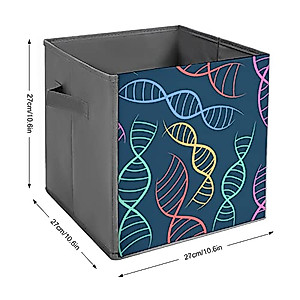 Colorful Scientific DNA Canvas Collapsible Storage Bins Cube Organizer Baskets with Handles for Home Office Car