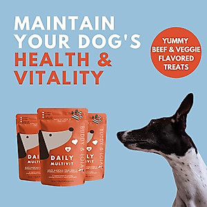 Multivitamin Chews Treats for Dogs - Daily Dog Vitamins - Great Nutrition for Picky Eaters, Dogs Love Them