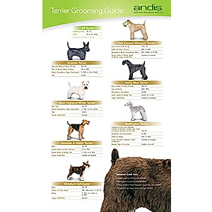 Andis – 64315, Ceramic Edge Detachable Pet Clipper Blade – Carbon-Infused Steel with Sharp Cutting Tech, Runs Cooler & Stays Sharper, Resists Rust & Heat, Size-10 - Fits AG, AGC & BDC Series, Chrome