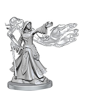 D&D Frameworks: Elf Wizard Female - Unpainted and Unassembled