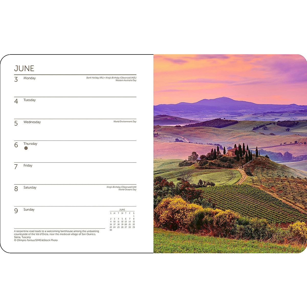Italy Weekly Engagement Calendar 2024, Planner 6.5" x 8.5" Spiral Bound