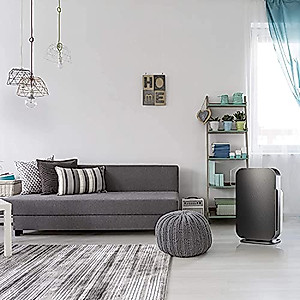 Alen BreatheSmart FLEX HEPA Air Purifier, Medical Grade Filtration H13 True HEPA for 700 SqFt, 99.9% Airborne Particle Removal, Air Purifier for Allergens, Dust, Mold, Pet Dander, (Brushed Stainless)