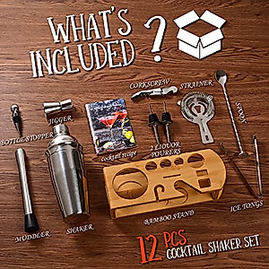 Cocktail Shaker Set Bartender Kit : 12-Piece Bar Tool Set with Bamboo Stand | Bar Set with All Practical Bar Accessories, for Drink Mixing, Bar, Home, Lounge & Party (Silver)