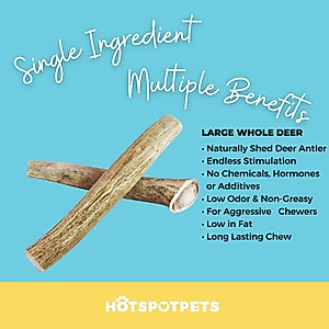 hotspot pets Premium Deer Antlers for Dogs - 7+ Inch Large Antler Dog Chews (2 Pack) Naturally Shed Antler Bone for Large Breed Aggressive Chewers - Made in USA - Promotes Dental Hygiene