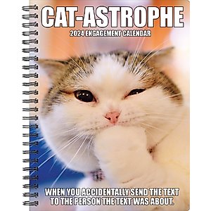 Willow Creek Press Cat-astrophe Softcover Weekly Planner 2024 Spiral-Bound Engagement Calendar (6.5" x 8.5")