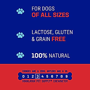 Himalayan Dog Chew Yak Cheese Dog Chews, 100% Natural, Long Lasting, Gluten Free, Healthy & Safe Dog Treats, Lactose & Grain Free, Protein Rich, For All Breeds, Medium, Bacon Flavor, 4.5 oz