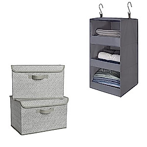 GRANNY SAYS Bundle of 2-Pack Storage Bins with Lids Large & 1-Pack Hanging Closet Organizer