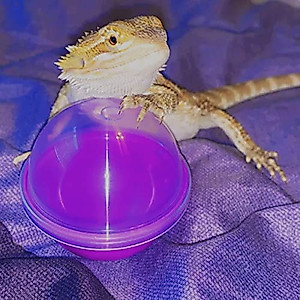 CooShou 6Pcs Lizard Bearded Dragon Feeding Toys Ball Reptile Food Toys Ball Lizard Interactive Toys for Bearded Dragon, Lizard, Gecko and Small Animals