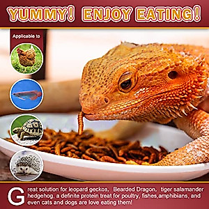 NO 24 Oz Premium Canned Steamed Juicy Mealworms for Reptiles, Amphibians, Birds -an Alternative to Live Meal Worms for Bearded Dragon,Wild Birds etc