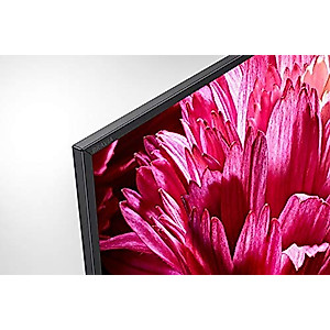 Sony X950G 65 Inch TV: 4K Ultra HD Smart LED TV with HDR and Alexa Compatibility - 2019 Model