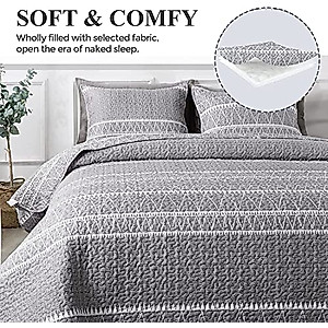 Andency Grey Quilt Set King (106x96 Inch), 3 Pieces(1 Striped Triangle Printed Quilt and 2 Pillowcases), Bohemian Summer Lightweight Reversible Microfiber Bedspread Coverlet Sets