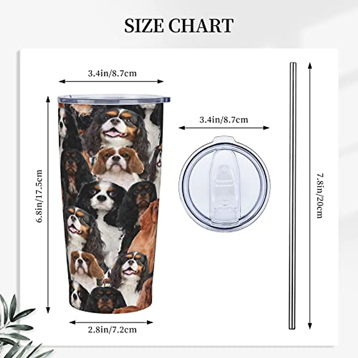 Funny Cavalier King Charles Spaniel Dog Face Cute Puppy Water Bottles - 20oz Tumbler Cups with Lid, Steel Straw and Brush Mug - Stainless Steel Vacuum Insulated Water Coffee Thermal Cup For Women Men