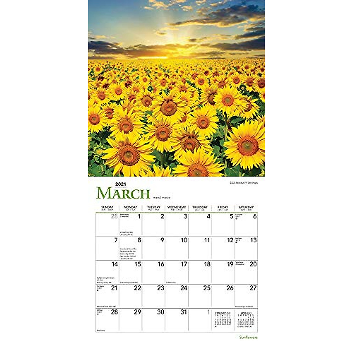 Sunflowers 2021 Calendar