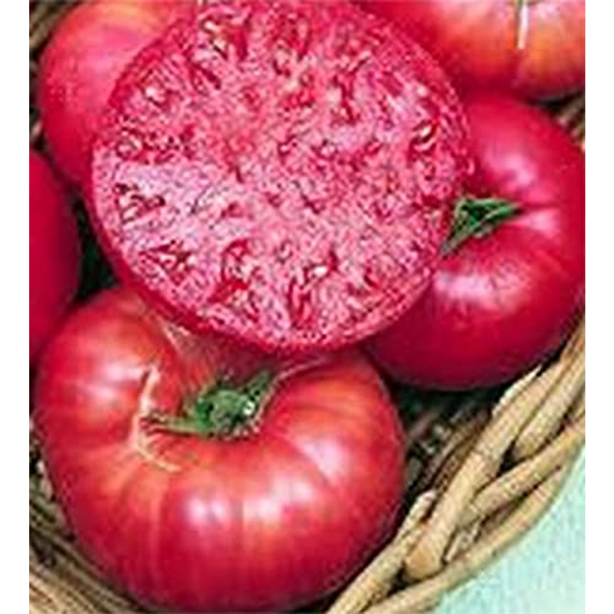 Pink Ponderosa Heirloom Tomato Seeds - Large Tomato - One of The Most Delicious Tomatoes for Home Growing, Non GMO - Neonicotinoid-Free.