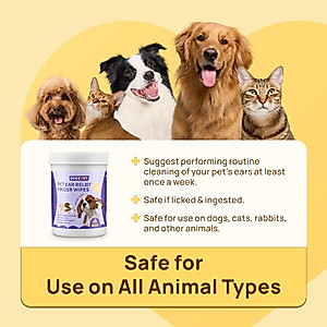 HICC PET Ear Finger Wipes for Dogs & Cats - Gently Remove Ear Wax, Debris - Sooths & Deodorizes - Relieve Ear Itching & Inflammation, Honey Scented, All Natural Ingredients - 50 Count