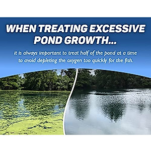 Crystal Blue Copper Sulfate Algaecide - Granular Aquatic Grade Copper Sulfate for Pond Algae Control - 5 Pounds