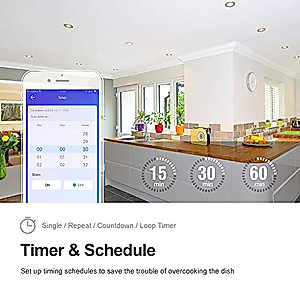Sonoff TH16 Temperature and Humidity Monitoring WiFi Smart Switch for DIY Smart Home,Compatible with Alexa(16A)