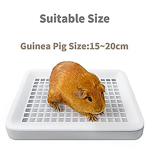 Guinea Pig Toilet, Small Animal Potty Trainer Corner, Square Rat Litter Bedding Box with Small Broom, Dustpan, Small Pet Litter Toilet for Guinea Pigs, Chinchilla, Ferret,Galesaur…