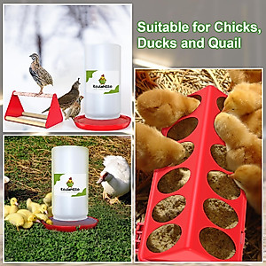 Kculehtlla Chick Feeder and Waterer Kit - Baby Chicken Supplies with Chicks Perch, Plastic Feeder Trough and 1.2L Waterer, Chicken Starter Kit for Coop and Brooder for Small Poultry Ducks Quail
