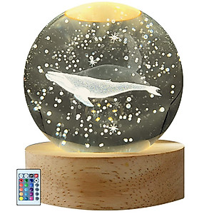 BESTHOME Whale Gifts 3D Night Light, Gifts for Kids Room Decor, Gifts Idea for Boys, Girls Brithday (16 Color, Remote Control)