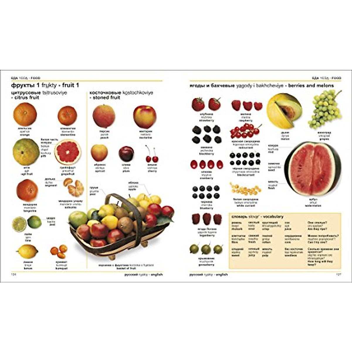 Russian-English Bilingual Visual Dictionary (DK Bilingual Visual Dictionaries)