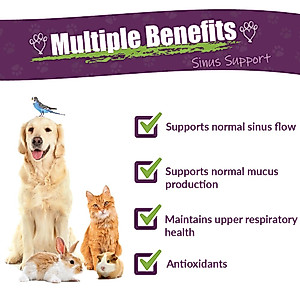 Amber NaturalZ Pet C&C Herbal Supplement for Dogs, Cats, Birds, Guinea Pigs, and Rabbits | Pet Herbal Supplement for Healthy Sinus | 1 Fluid Ounce Glass Bottle |Manufactured in The USA