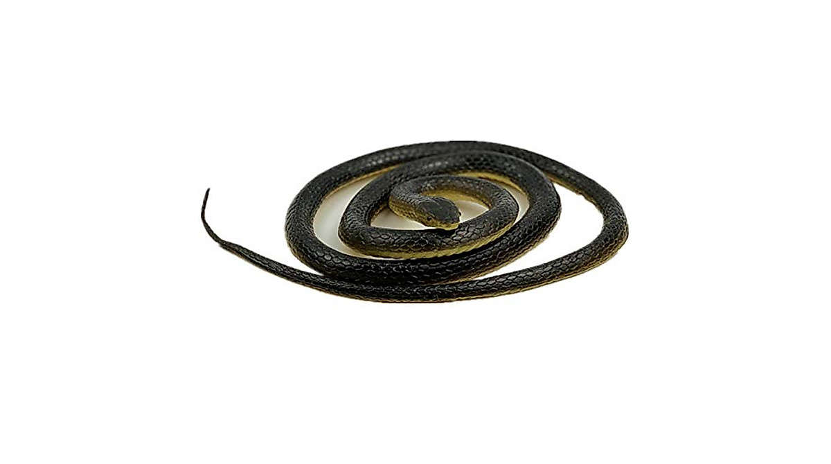 Realistic Rubber Snake 2Pcs for Pranks, Garden & Halloween