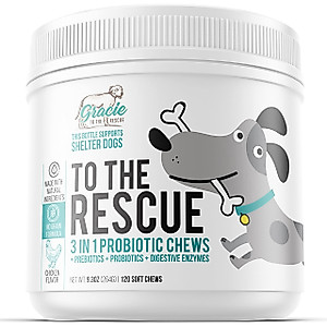 Probiotic Chews for Dogs, Support Digestive Health, Dog Probiotics and Digestive Enzymes, Dog Probiotic Chews, Probiotic Dogs, Puppy Probiotic, Pet Probiotics for Dogs - 120 Soft Chews
