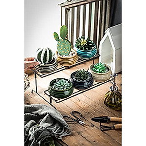 Succulent Plant Pots Stand 6pcs Indoor Plants Live 2 Tier Decorative Ceramic Small Plant Pots with Stand Holder Mini Flower Pots Gifts for Plant Lovers Home Office Desk Garden Mini Cactus Pot