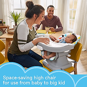 Fisher-Price SpaceSaver Simple Clean High Chair Baby to Toddler Portable Dining Seat with Removable Tray Liner, Windmill